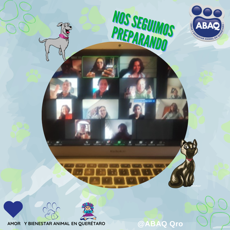 Plática de Bienestar Animal – ABAQ
