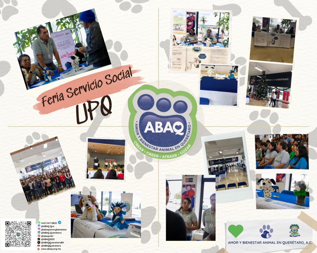 “Feria de Servicio Social UPQ» – ABAQ